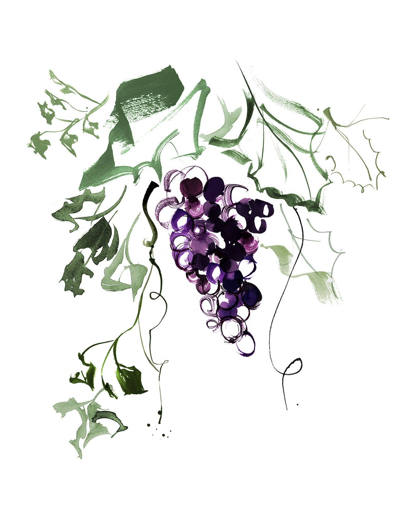 Caroline Tomlinson Inspiring Travel Illustrations at F and J Artist Reps